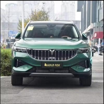 Cina 2024 Voyah Free SUV elettrico ibrido con batteria al litio ferro fosfato e alta velocità in vendita