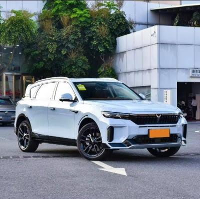 Cina Dongdeng's Voyah Free 2024 Auto elettrica da 860 km con motore sincrono a magnete permanente in vendita