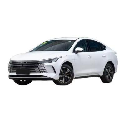 Cina Sistema stabile Dm-I 5 persone Piccola auto elettrica per famiglie con grandi sconti da Byd in vendita