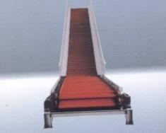 China Chain Conveyor for sale