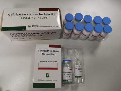 China BBCA MAANSHAN 0.25G/0.5G/0.9G Powder For Injection USP BP CP EP Standard With IV IM Dosage for sale
