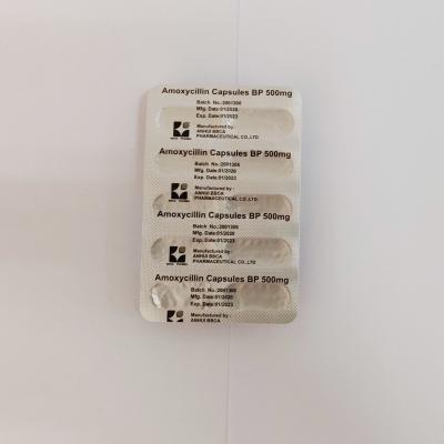 Dosaggio giornaliero Capsula di olio di soia / amossicillina con carattere di polvere cristallina bianca