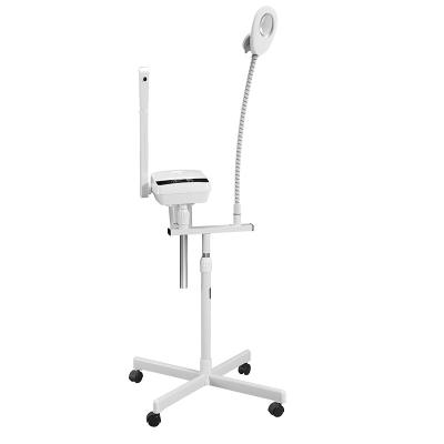 Cina 2 in 1 lampada d'ingrandimento di bellezza della macchina della pelle di analisi del vapore multifunzionale dell'ozono in vendita