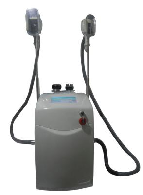 中国 反氷結の膜を搭載する機械を細くする非外科飲用クリオリポリシス 販売のため