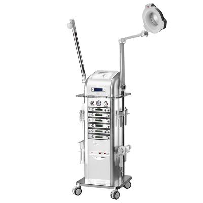 China Multifunctional Salon Beauty Machine Ultrasonic Facial Steamer Mangnifying Lamp for sale