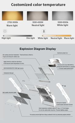 China Ip66 Smd Typ AC LED Street Light 500W  Aluminum Module Lamp For Road for sale