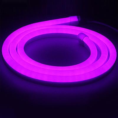 China IP44 120degree purple 16x24mm flexible LED Neon strip lights/ LED strip Light for sale