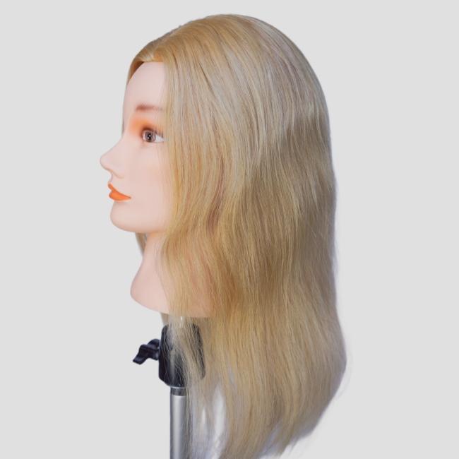 Wholesale Human Hair Training Mannequins