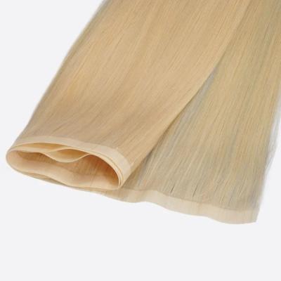 China Double Drawn PU Skin Hair Weft in Straight Style with Different Colors and Pric for sale