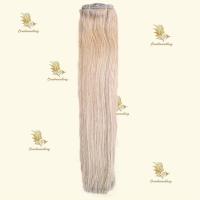 Quality 120g/PC Muti-Color Clip on Hair Extensions Human Hair Clip Ins with Muti-Color for sale