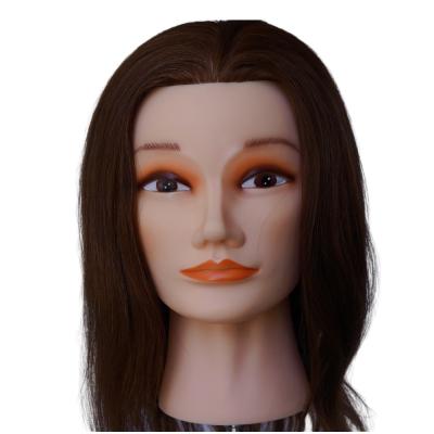 China European and Asian Face Training Mannequins for Human Hair Practice Training Needs for sale