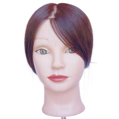 China Real Human Hair Mannequin Training Head Asia Face 30 Days Satisfaction Guarantee for sale