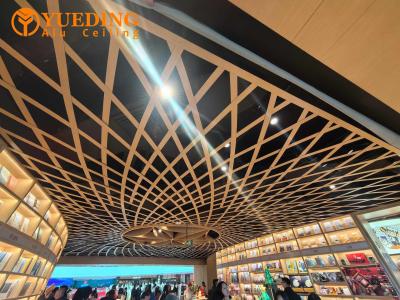 中国 不規則な形状のアルミニウム天井パネル カスタマイズされた屋内屋外装飾 販売のため