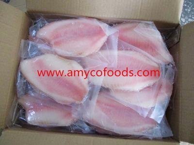China High quality frozen tilapia fillet and low price for sale