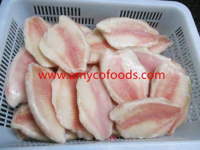 China High quality IQF frozen tilapia fillet all sizes supply for sale
