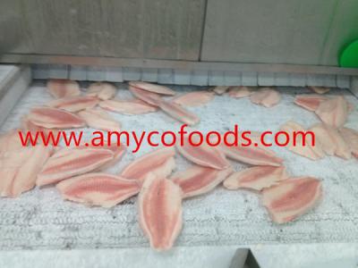 China Professional frozen tilapia fillet all sizes supply in China for sale