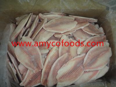 China Professional frozen tilapia fillet supply in China all sizes for sale