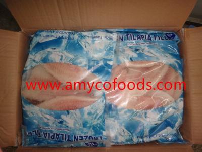 China Professional frozen tilapia fillet supply from China all sizes for sale