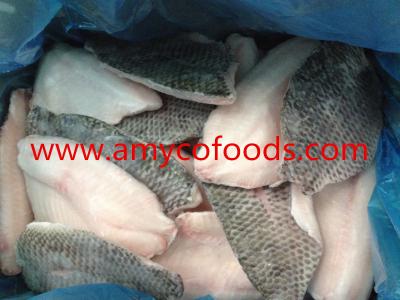 China Professional frozen tilapia fillet skinon all sizes for sale