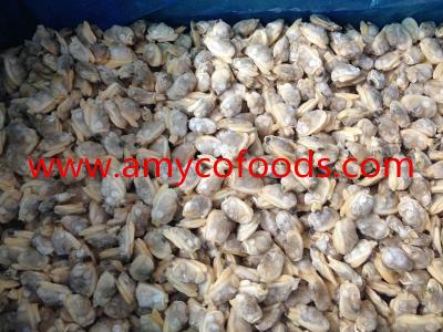 China Good taste frozen cooked short neck clam meat for sale