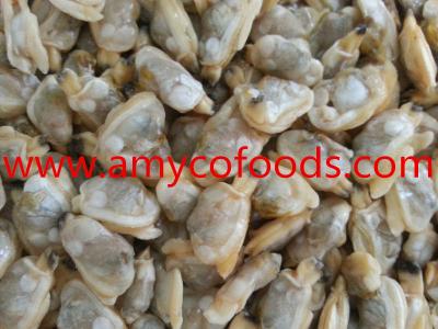 China High quality frozen boiled short neck clam meat with low price for sale