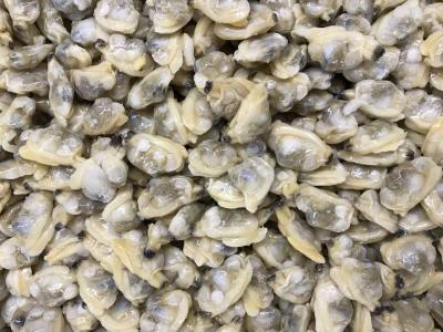China High quality frozen cooked short neck clam meat with competitive price for sale