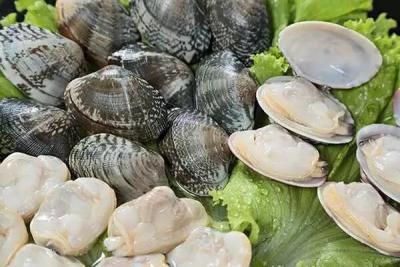 China High quality low price frozen cooked short neck clam meat good taste for sale
