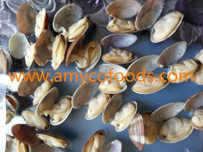 China High quality and low price frozen cooked short neck clam meat for sale