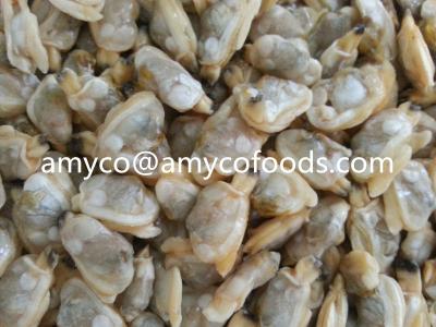 China High quality and competitive price frozen boiled short neck clam meat for sale