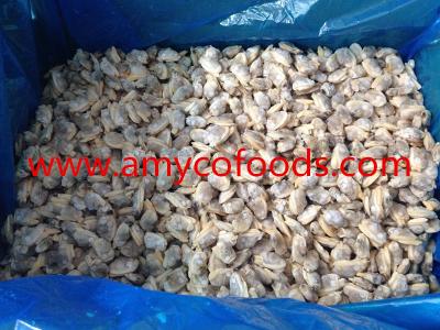 China High quality and good taste frozen boiled short neck clam meat for sale