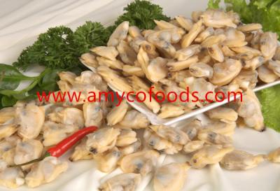China High quality and good taste frozen cooked short neck clam meat for sale