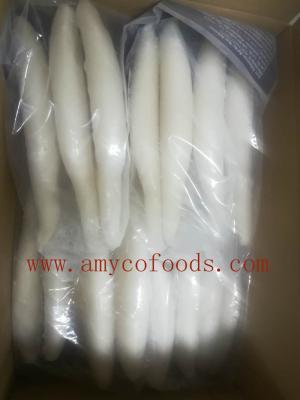 China High quality and low price frozen squid tubes supply in China for sale