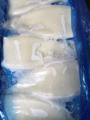 China High quality and competitive price frozen squid tubes supply in China for sale