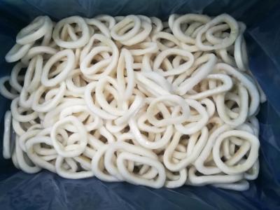 China Frozen squid rings high quality and competitive price supply in China for sale