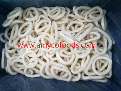 China High quality and competitive price frozen squid ring supply in China for sale