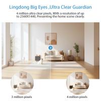 China HILVISION C2430TS-40E White Dome Network Camera with 14-LED Night Vision, Wi-Fi Connectivity and H.265 Compression for sale