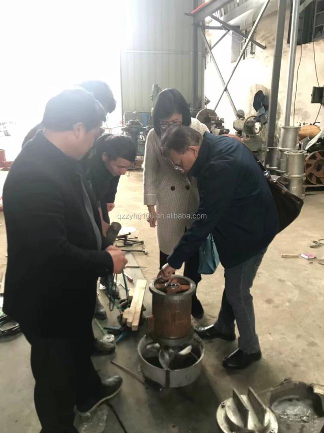 sewage agitator mixer ss304 used for palm oil mil anaerobic pond