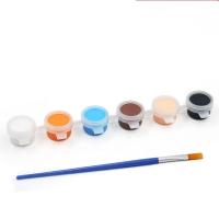 Quality 6 Color 3ML Acrylic Paint Pots Strip Set for Artists, Students, Beginners - Canvas Portrait Paintings for sale