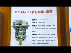 Verplaatsing A4v A4vo A4vs0 40 71 125 180 250 355 500 Cc Type graafmachine Hydraulische axiale zuigerpomp