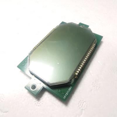 Cina TN STN LCD Screen Character Graphic LCD Screen Display Module in vendita