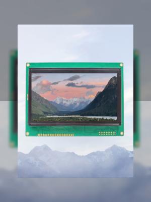 Cina Prezzo Wholsale Micro TN STN Display Modulo LCD 128X64 DOT Matrix Screen in vendita