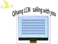 China Customize Industrial Control 240160 COG Alphanumeric LCD Display Module for sale