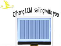 China Customize Industrial Control 240160 COG Alphanumeric LCD Display Module for sale