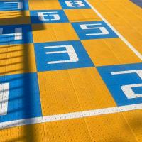 Quality Interlocking Sports Tiles | Anti-Slip Shock Absorbing Flooring for sale