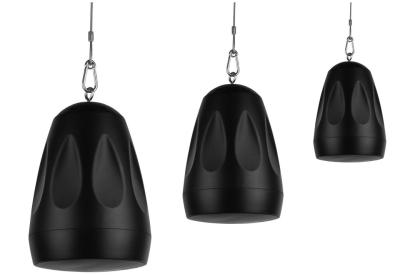 China Pendant ceiling Speaker Commercial Pendant Speakers In-Ceiling And Surface-Mount Speakers for sale