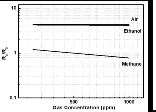 Quality semiconductor methane detection with Sensor Element GMH2110-E12 featuring metal oxide technology and filter cover for sale