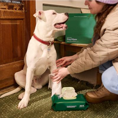 Cina Fibra vegetale viscosa Acqua pura Accipiccioli bagnati per animali da compagnia 20x20 cm Accipiccioli per la pulizia delle zampe per cani in vendita