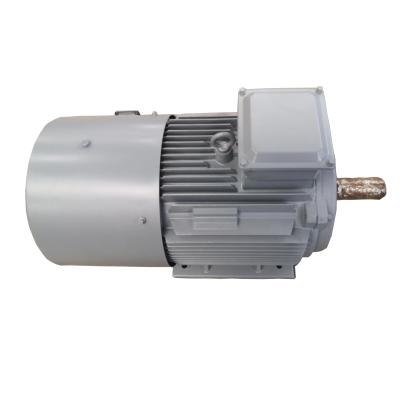 Cina materiale a magnete permanente di NdFeB della terra rara dell'alternatore di 300kw 30rpm 420V IP68 in vendita