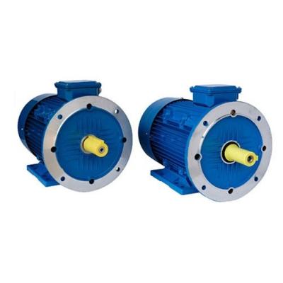 China el motor sin cepillo IE5 del imán permanente de 50hz 380V califica el material de NdFeB de la tierra rara for sale