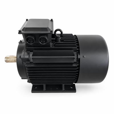 China 185KW IE5 Ultra Premium Permanent Magnet Motor with IC71W Water Jacket for Rubber Mixers for sale